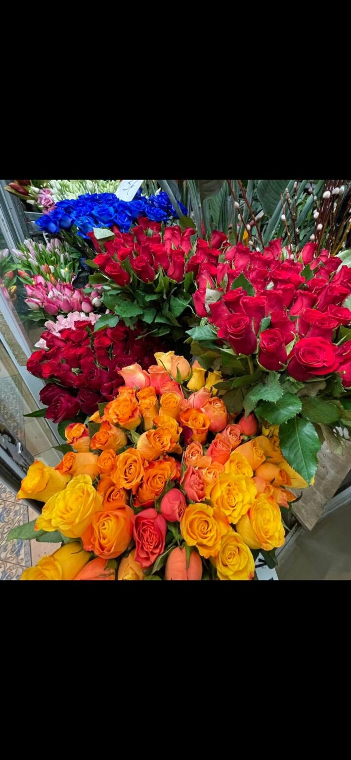 ΤΡΙΑΝΤΑΦΥΛΛΟ ΚΟΚΚΙΝΟ 70 CM ROTHOS TEMAXIO - Toulipa Flowers